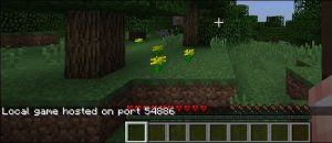 [SOLVED] Minecraft LAN Not Working - Driver Easy