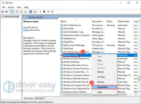 [SOLVED] Destiny 2 Voice Chat Not Working - Driver Easy