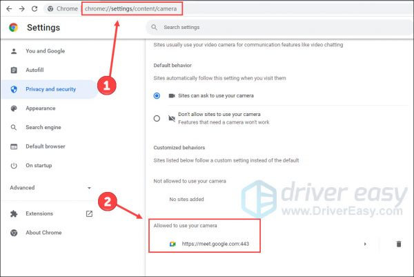 [SOLVED] How to Fix Google Meet Camera Not Working - Driver Easy